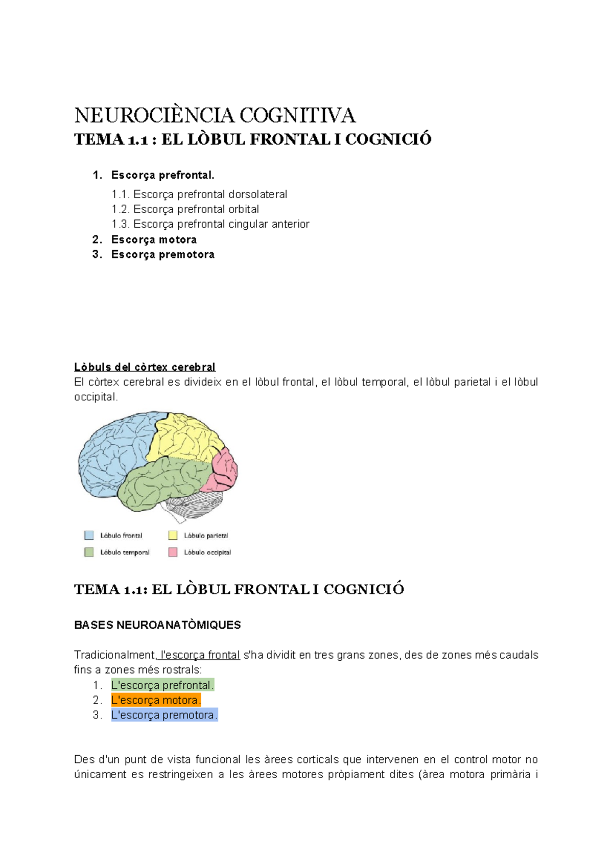 TEMA 1 - Ben resumit - NEUROCIÈNCIA COGNITIVA TEMA 1 : EL LÒBUL FRONTAL ...