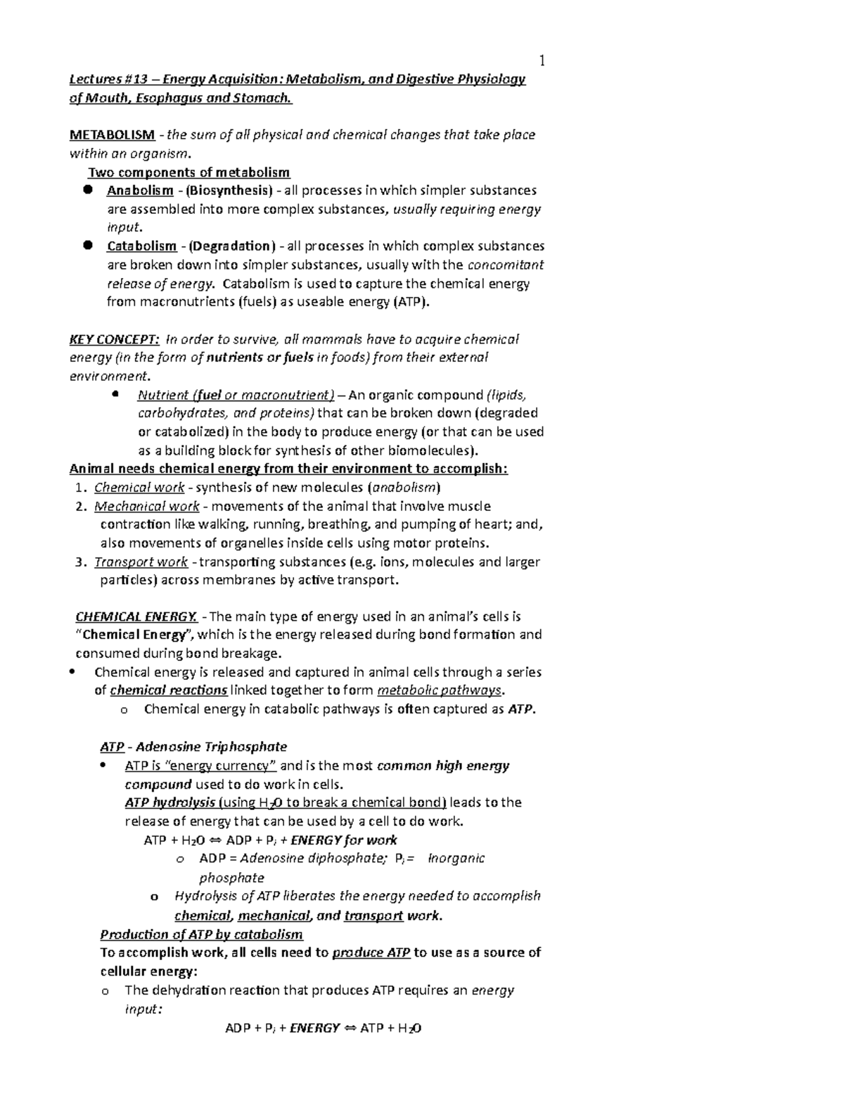 Lecture #13 Notes - Digestive System #1-2 - Lectures #13 – Energy ...