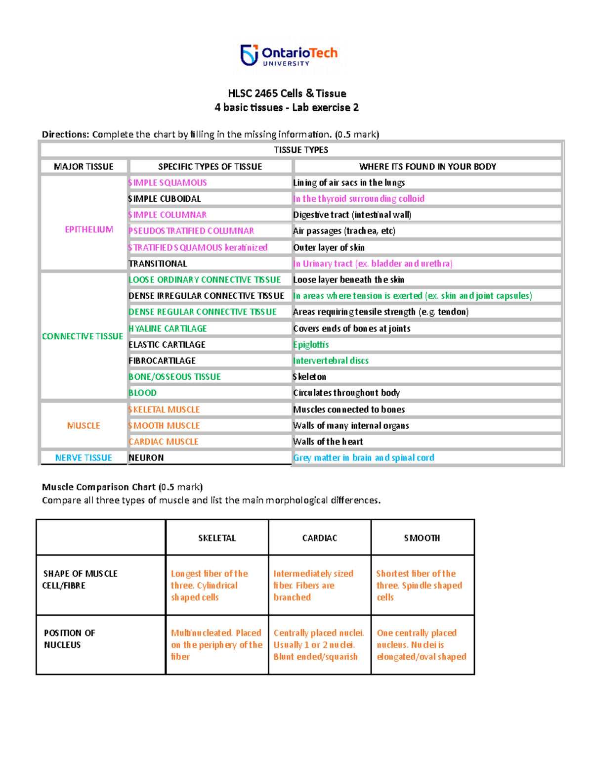 Lab Exercise #2 - HLSC 2465 Cells & Tissue 4 basic tissues - Lab ...