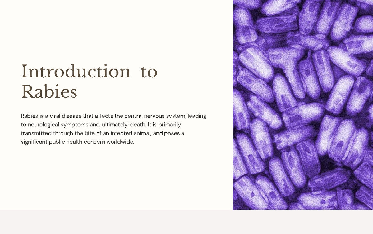 Introduction-to-Rabies - Introduction to Rabies Rabies is a viral ...