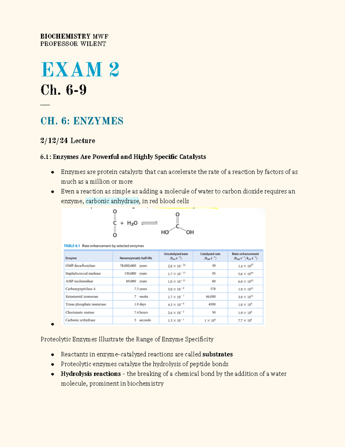 Biochem exam 2 notes - BIOCHEMISTRY MWF PROFESSOR WILENT EXAM 2 Ch. 6 ...