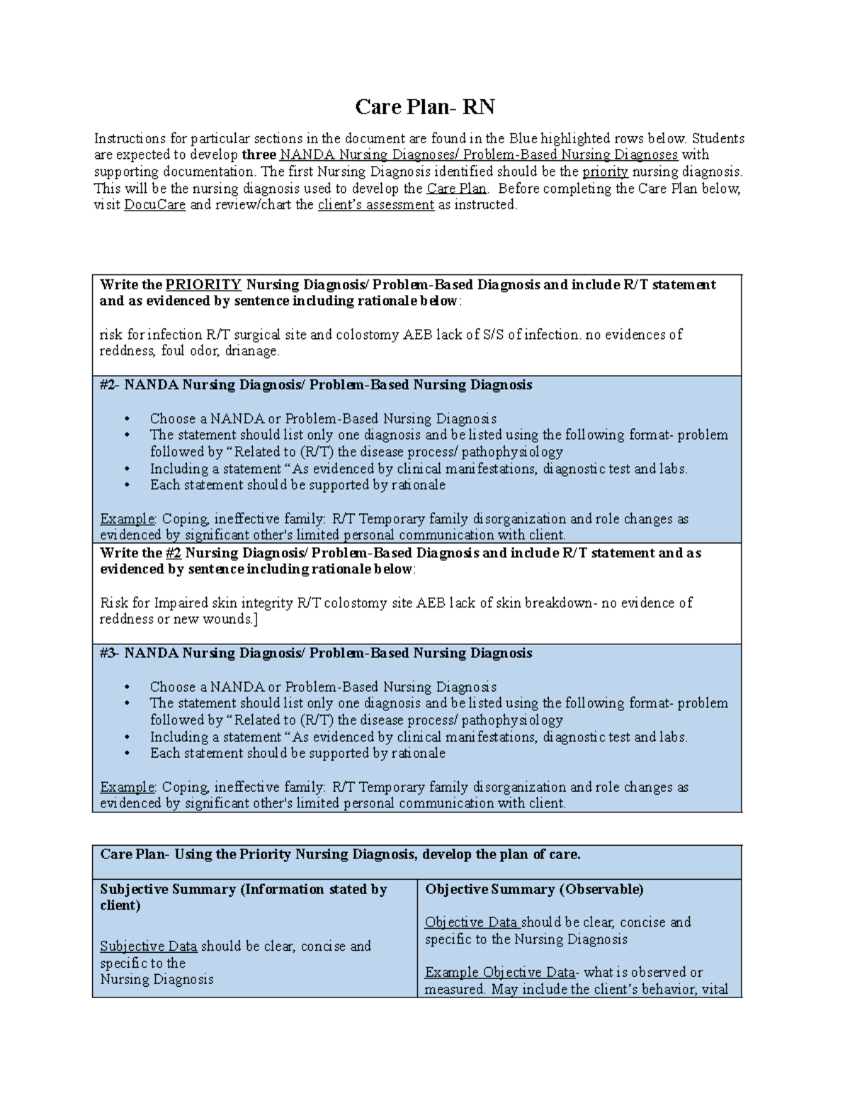 Vouse - clinical - Care Plan- RN Instructions for particular sections ...