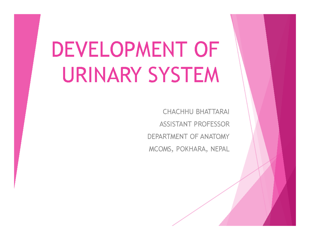 Development of Renal system-I-CB-020-1 - DEVELOPMENT OF URINARY SYSTEM ...