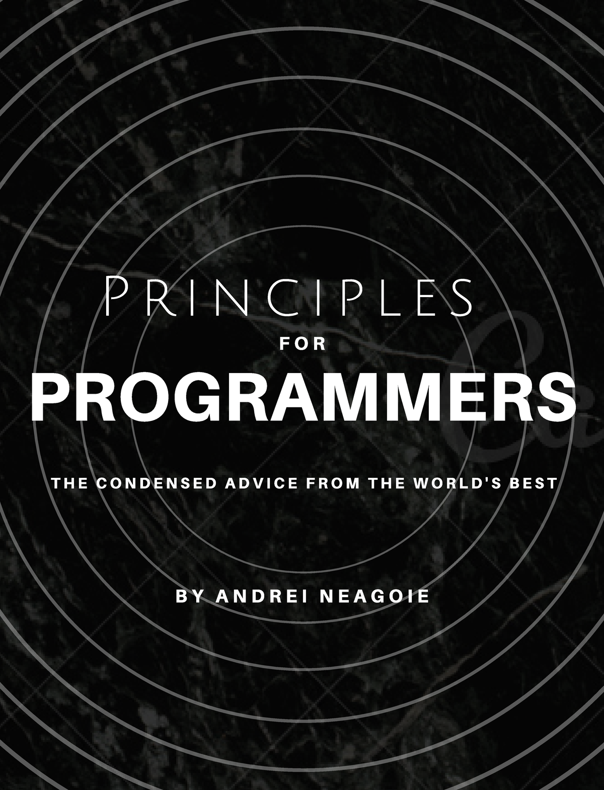 Principles For Programmers Andrei Neagoie P R I N C I P L E V B V1 Subscribe To Get Updates 8010