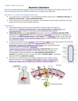 1.6 Overview Infection Intoxication Toxin-mediated Infection - 1 ...