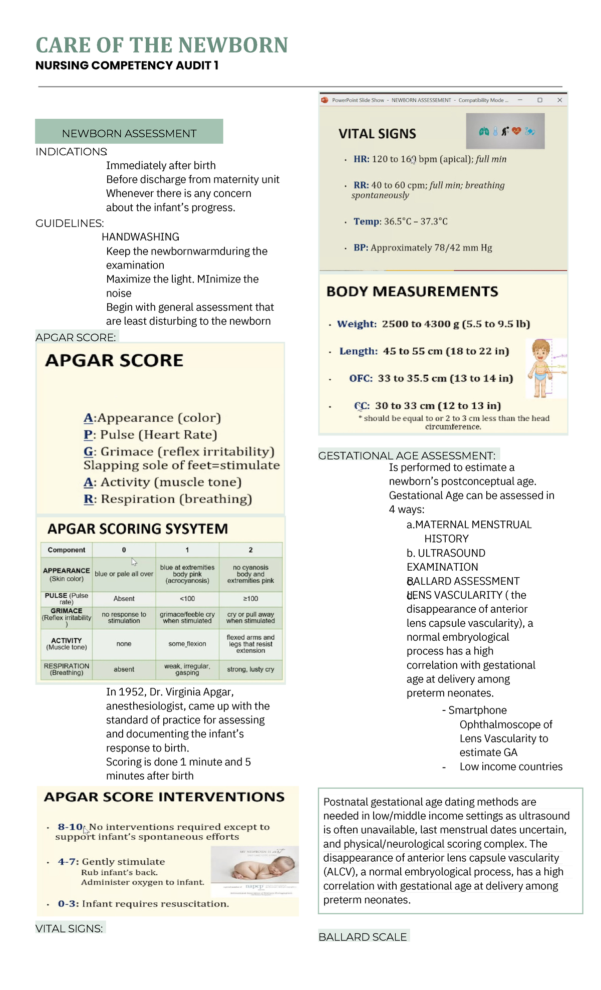 Nursing Care of the Newborn - CARE OF THE NEWBORN NURSING COMPETENCY ...