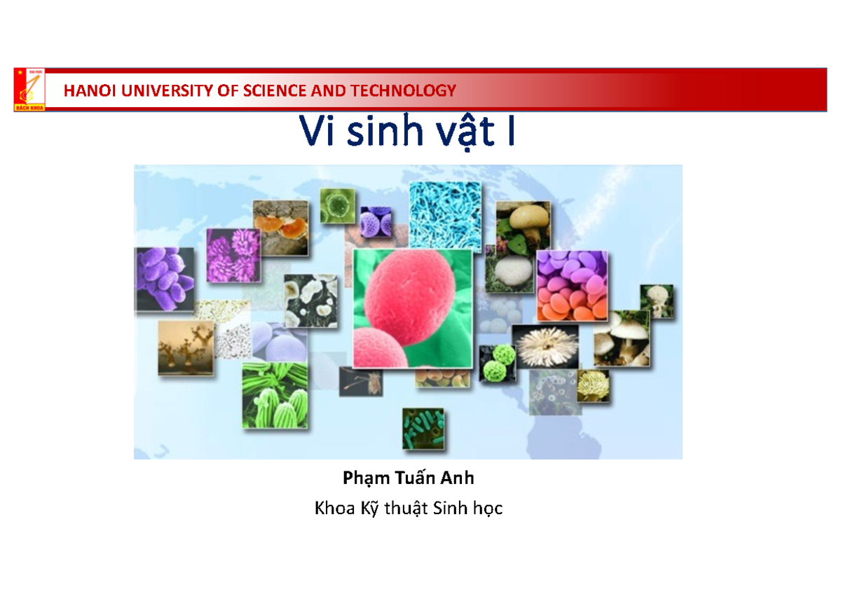 Ch1 Bai giang vi sinh 11 9 2024 - Vi sinh vật I Phạm Tuấn Anh Khoa Kỹ ...