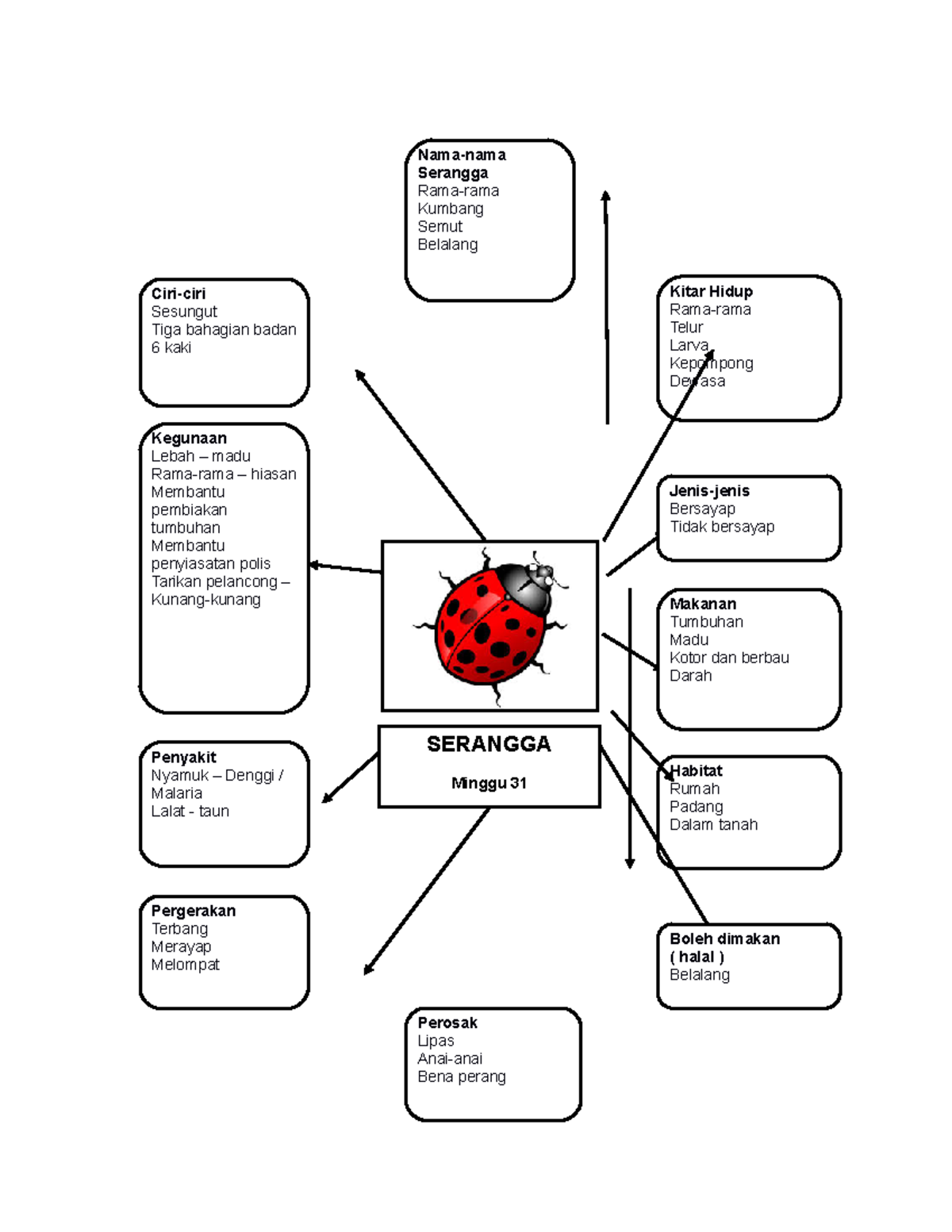 M30- Serangga - RPH BERTEMA - Nama-nama Serangga Rama-rama Kumbang ...