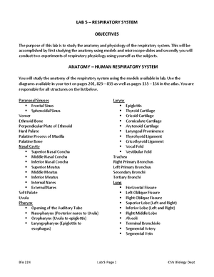 Chapter 18 The Cardiovascular System II: Blood Vessels Active Learning ...