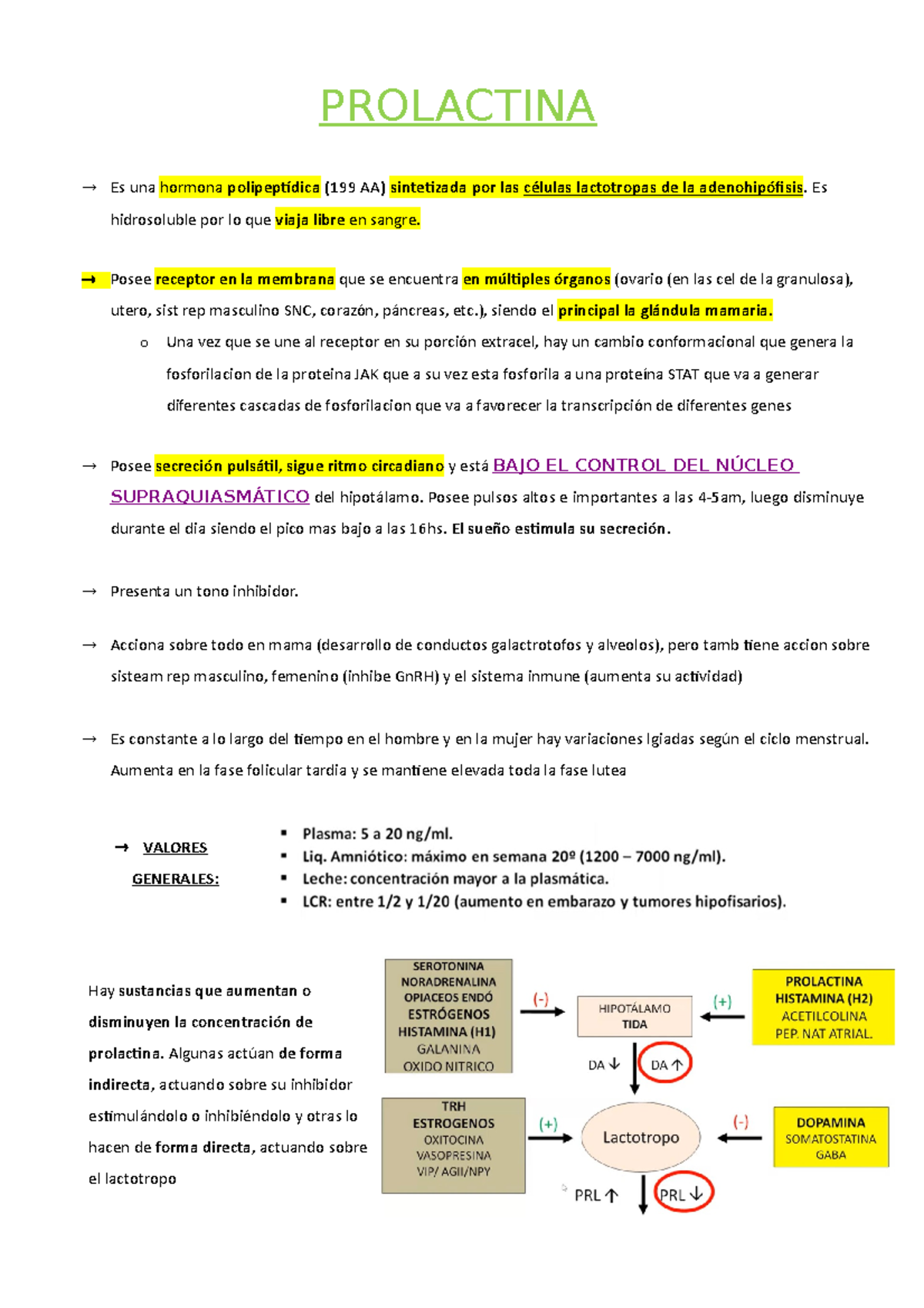 Resumen endocrino - Prolactina - Fisiologia - UBA - PROLACTINA Es una ...