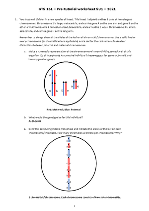 Semester test 2 feedback - GTS 161 - Number of individuals Marks in ...