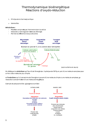 Cours Métabolisme Complet - Biochimie Fonctionnement du métabolisme ...