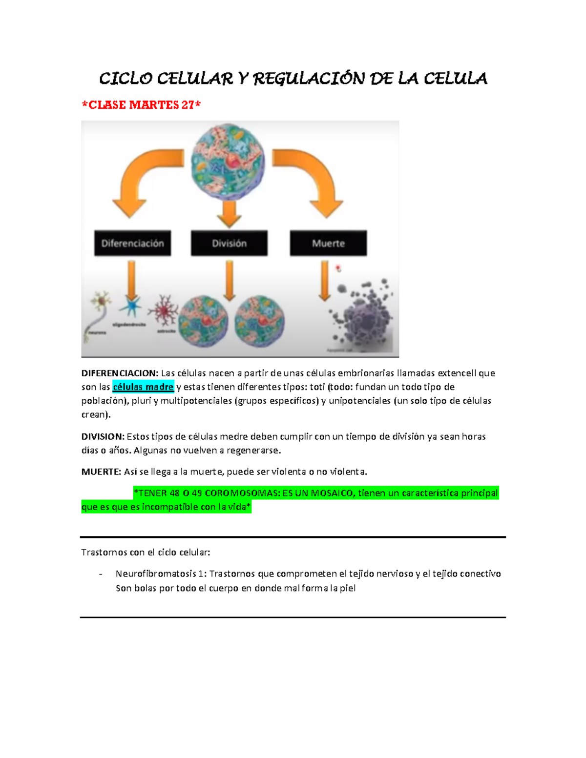 Ciclo celular y regulacion de la celula. Omar - CICLO CELULAR Y ...