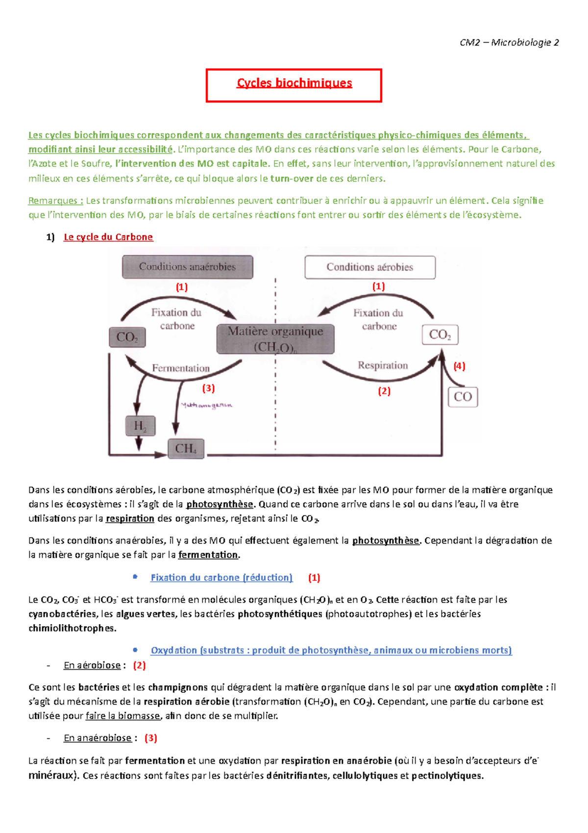 Cycles Biochimique des Microorganismes - Les cycles biochimiques ...