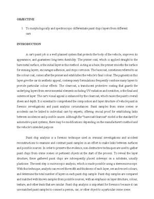 Report Writing of TPT251 - PRINCIPLES OF TRANSPORT (TPT251) TITLE: We ...