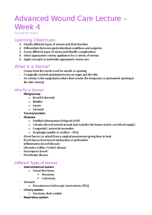 Unpacking the Abcdetime Wound Assessment Template Table - NURS 3040 ...