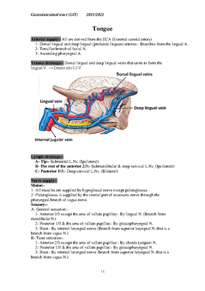 GIT anatomy-Stomach - Stomach anatomy and its clinically importance ...
