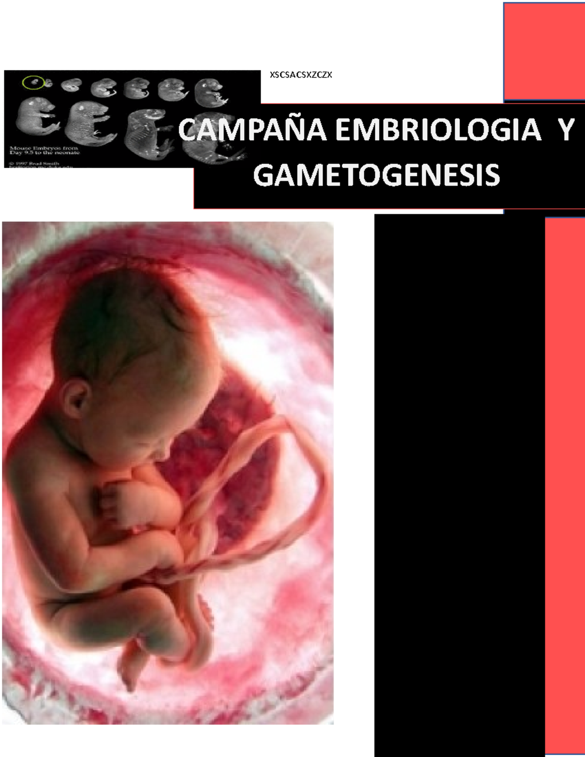 Actividad 6 Embriologia Y Gametogenesis - XSCSACSXZCZX CAMPAÑA ...