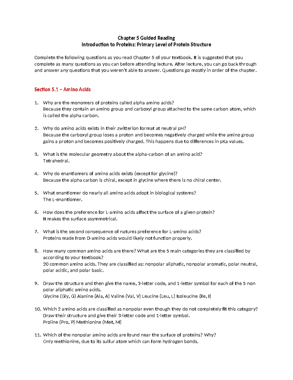 Ch. 5 Guided Reading - Chapter 5 Guided Reading Introduction to Proteins: Primary Level of ...