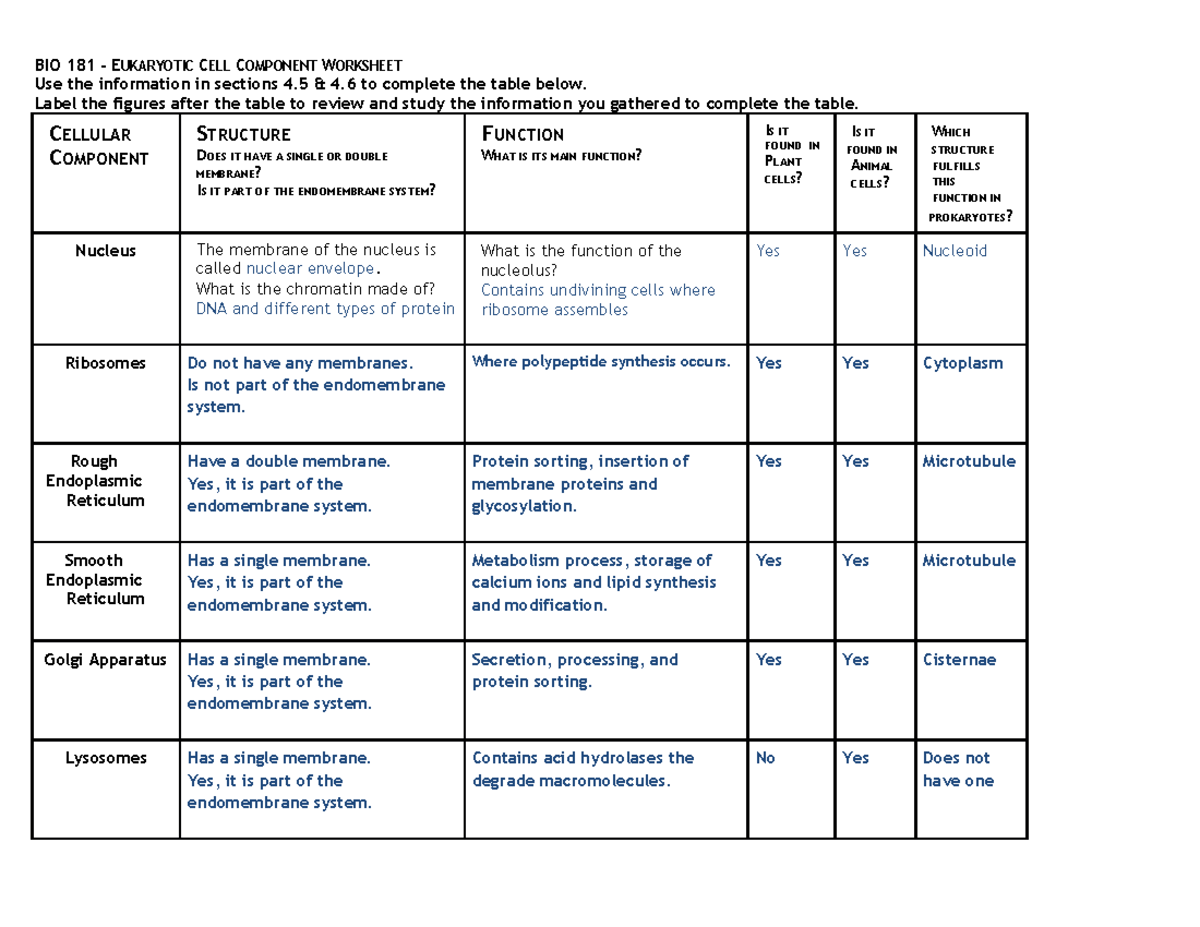 Eukaryotic Cell Components Worksheet Felicity H - BIO 181 - EUKARYOTIC ...