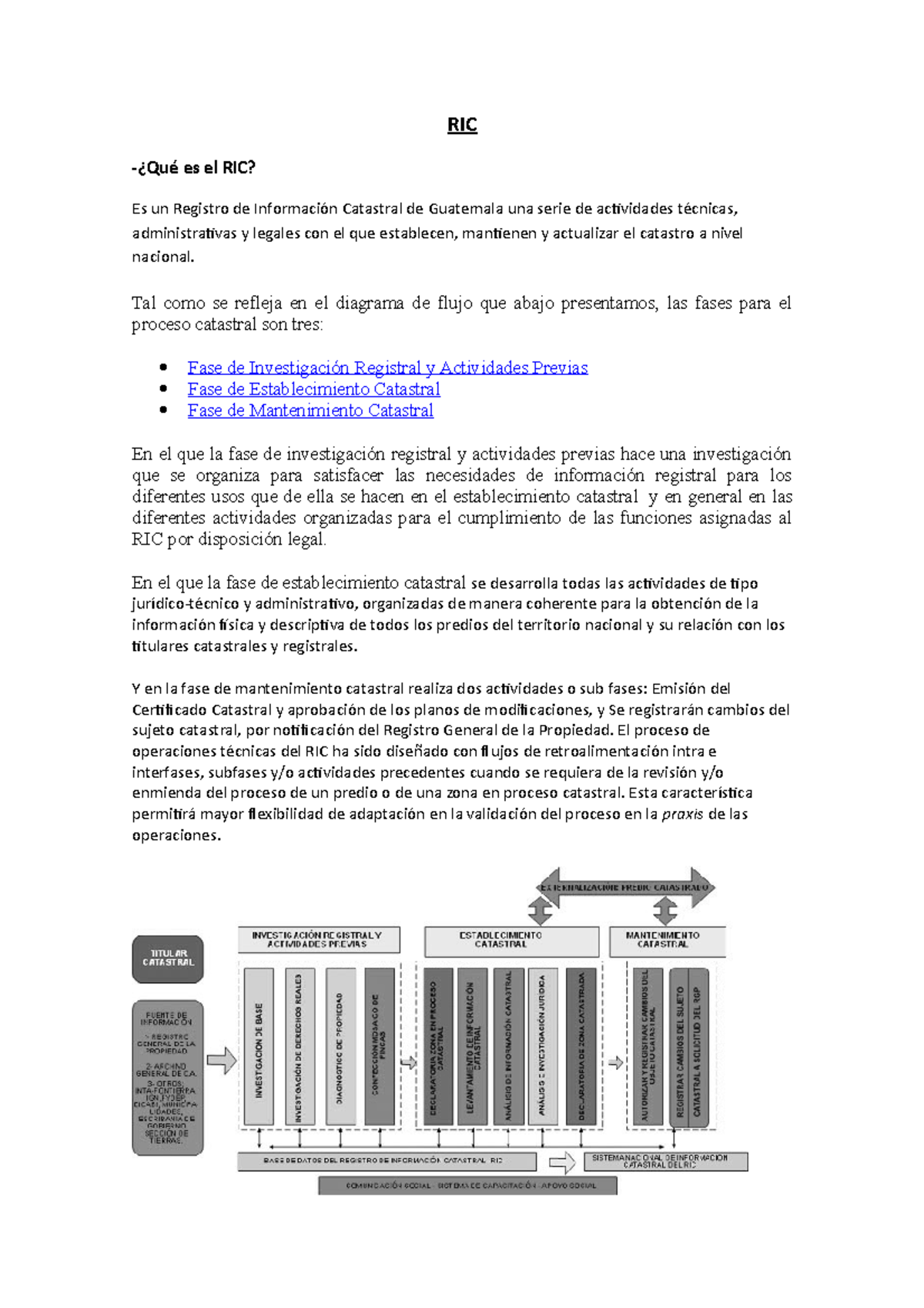 Reporte de campo - RIC -¿Qué es el RIC? Es un Registro de Información ...