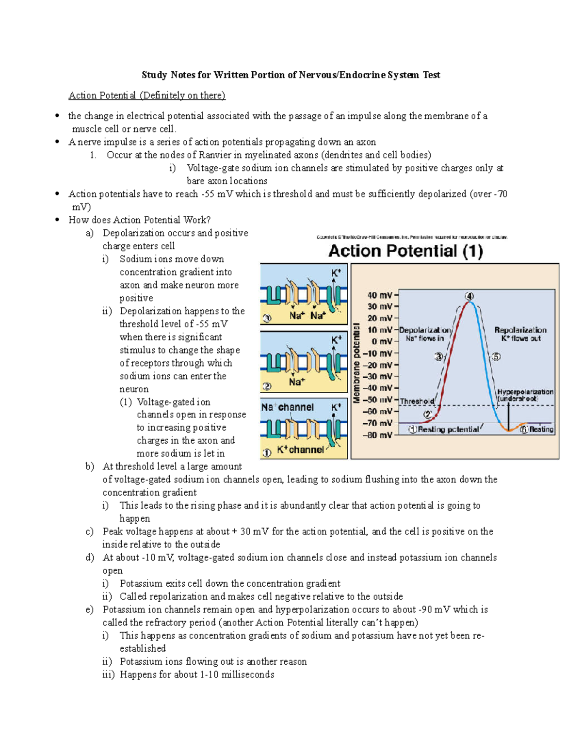 Nervous System Unit Test - Study Notes for Written Portion of Nervous ...