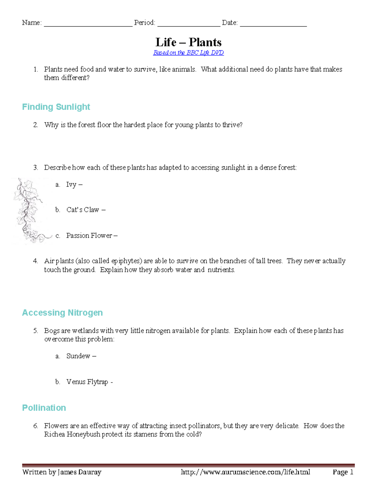 BBC Life - Plants - gjggy - Name: ________________________ Period ...
