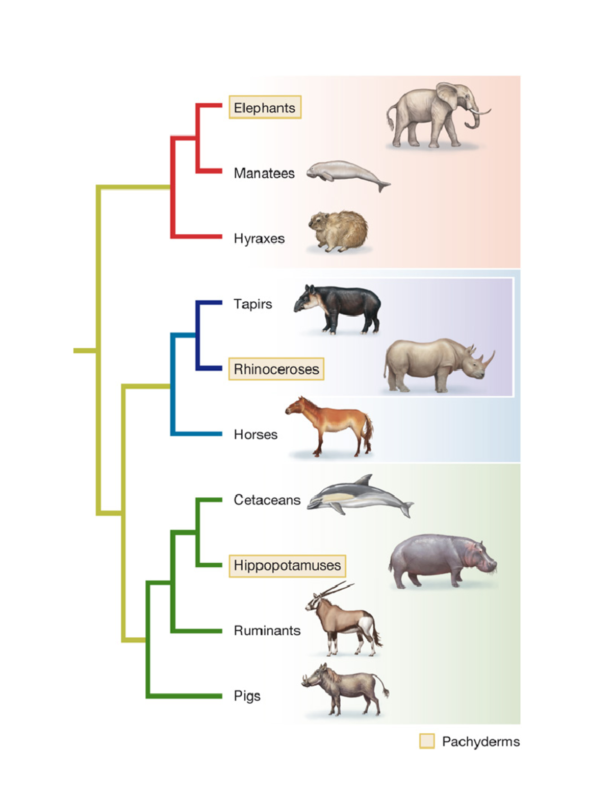 Untitled document - Google Docs - Studocu