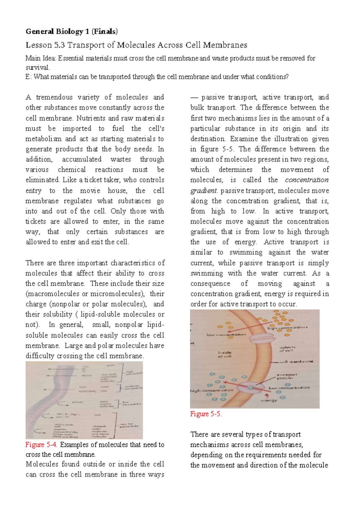 5 - Define and understand the principle of the Transport of Molecules Across Cell - General ...
