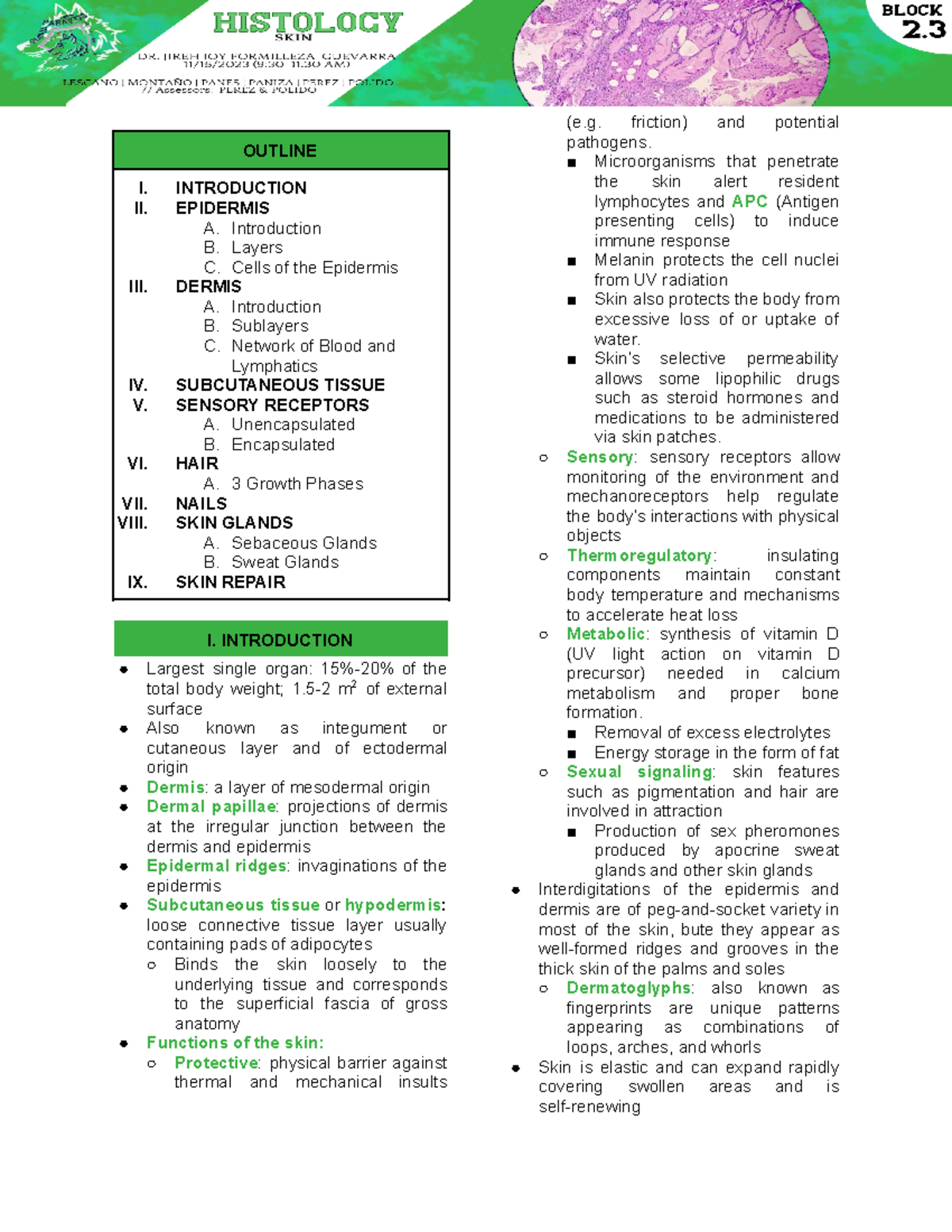 Integumentary Tissue- Junqueiras - OUTLINE I. INTRODUCTION II ...