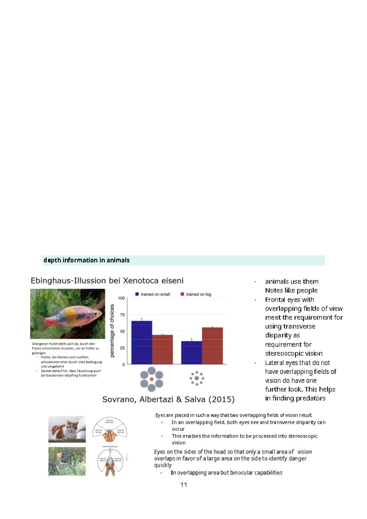 Summary 6.5 - Depth perception in animals - depth information in ...