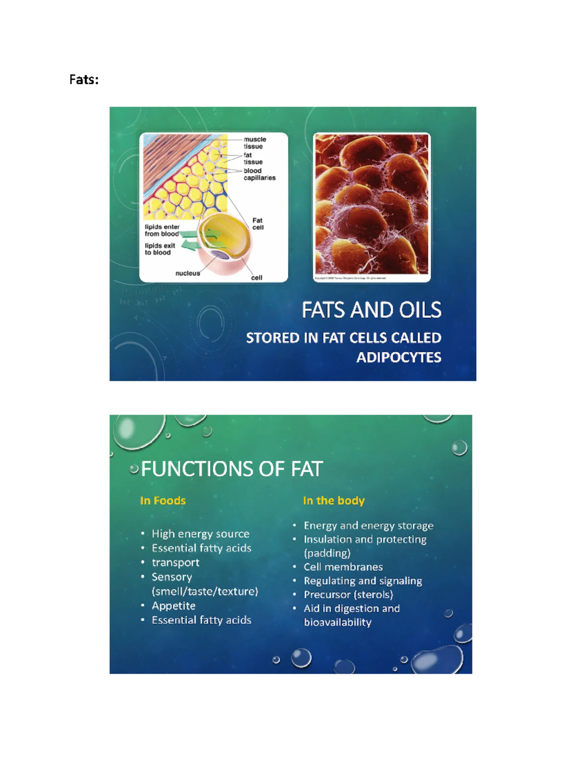 Fats - enjoy these notes:) - Fats: muscle tissue fat 2 tissue A blood ...