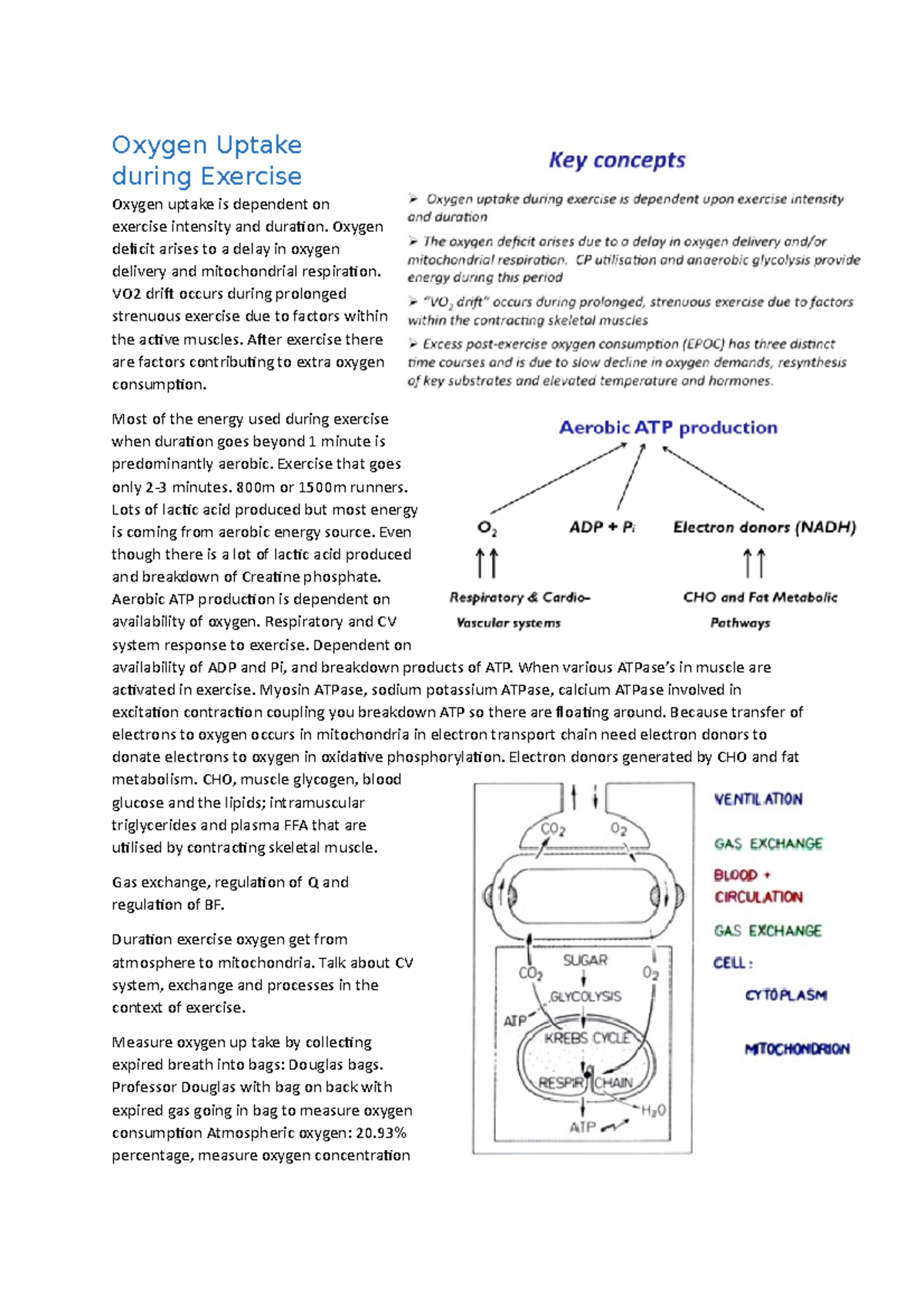 Oxygen Uptake during Exercise - Oxygen Uptake during Exercise Oxygen ...