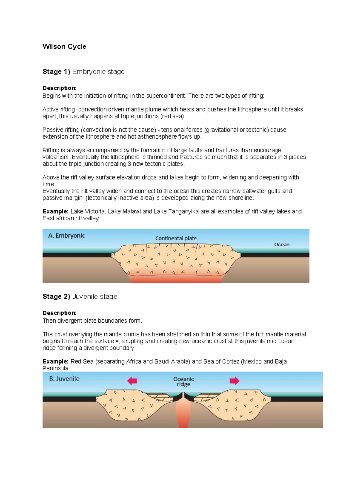 Wilson Cycle - Wilson Cycle Stage 1) Embryonic stage Description ...