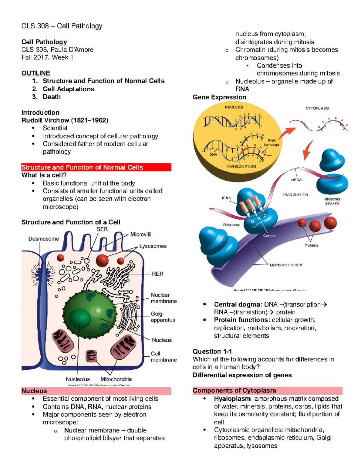 Topic 01 Cell Pathology - l Pat hol ogy Cel lPat hol ogy CLS308,Paul ...