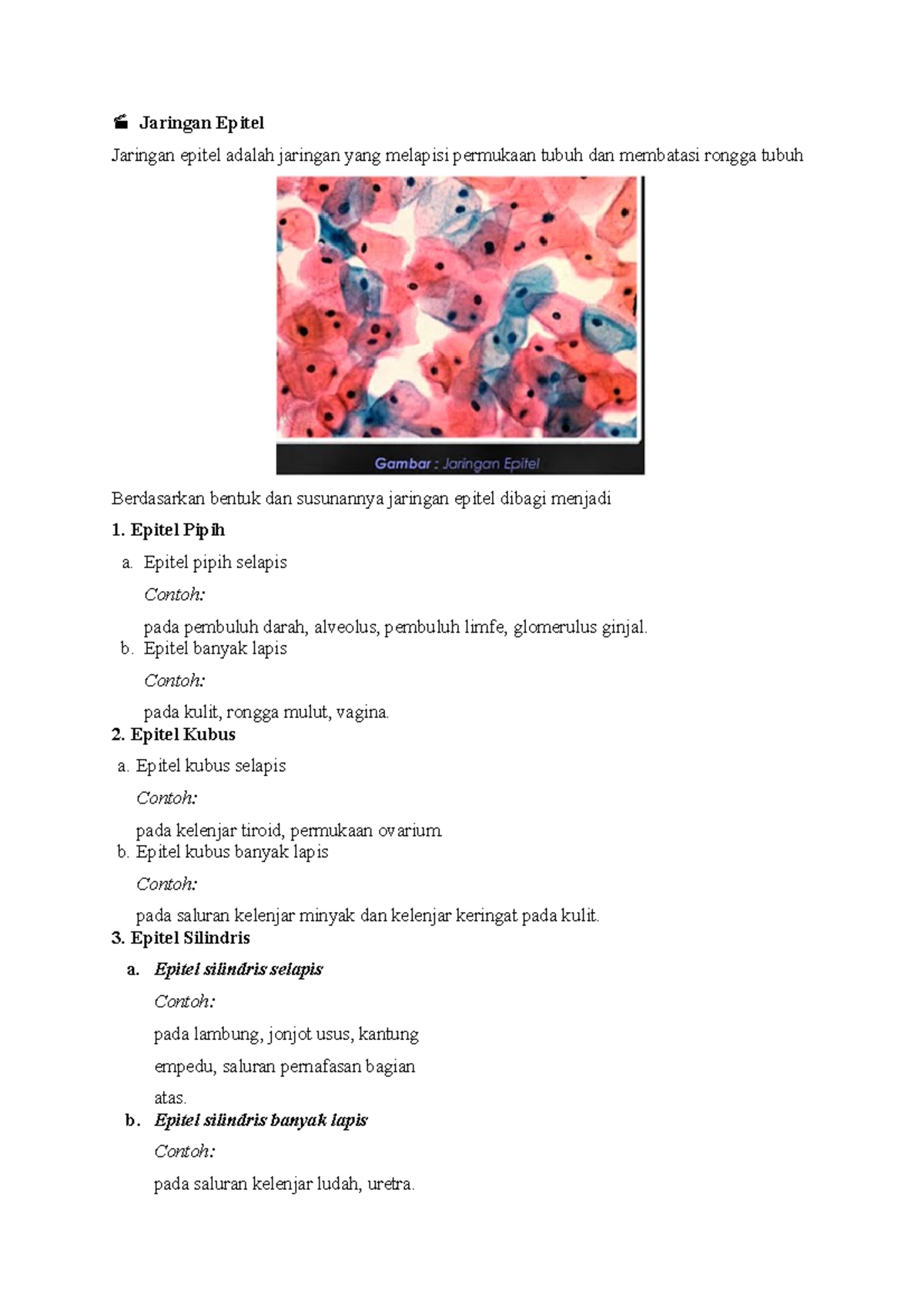 Jaringan Epitel - keperawatan - Jaringan Epitel Jaringan epitel adalah jaringan yang melapisi ...