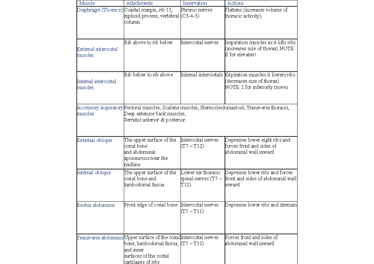Muscle Table - ignore - Muscle Attachments Innervation Actions ...