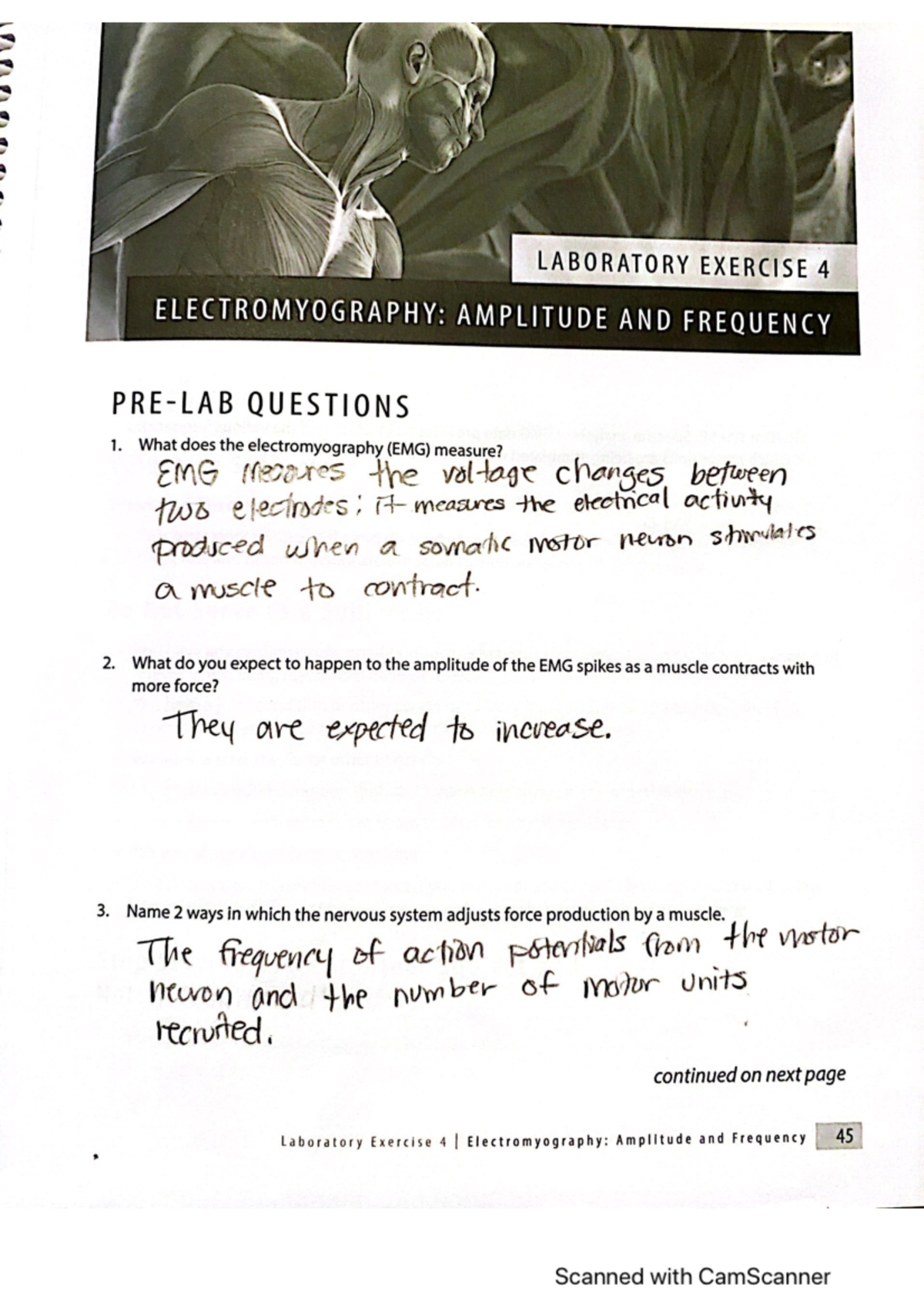 Cam Scanner 12-01-2022 19 - LABORATORY EXERCISE 4 ELECTROMYOGRAPHY ...