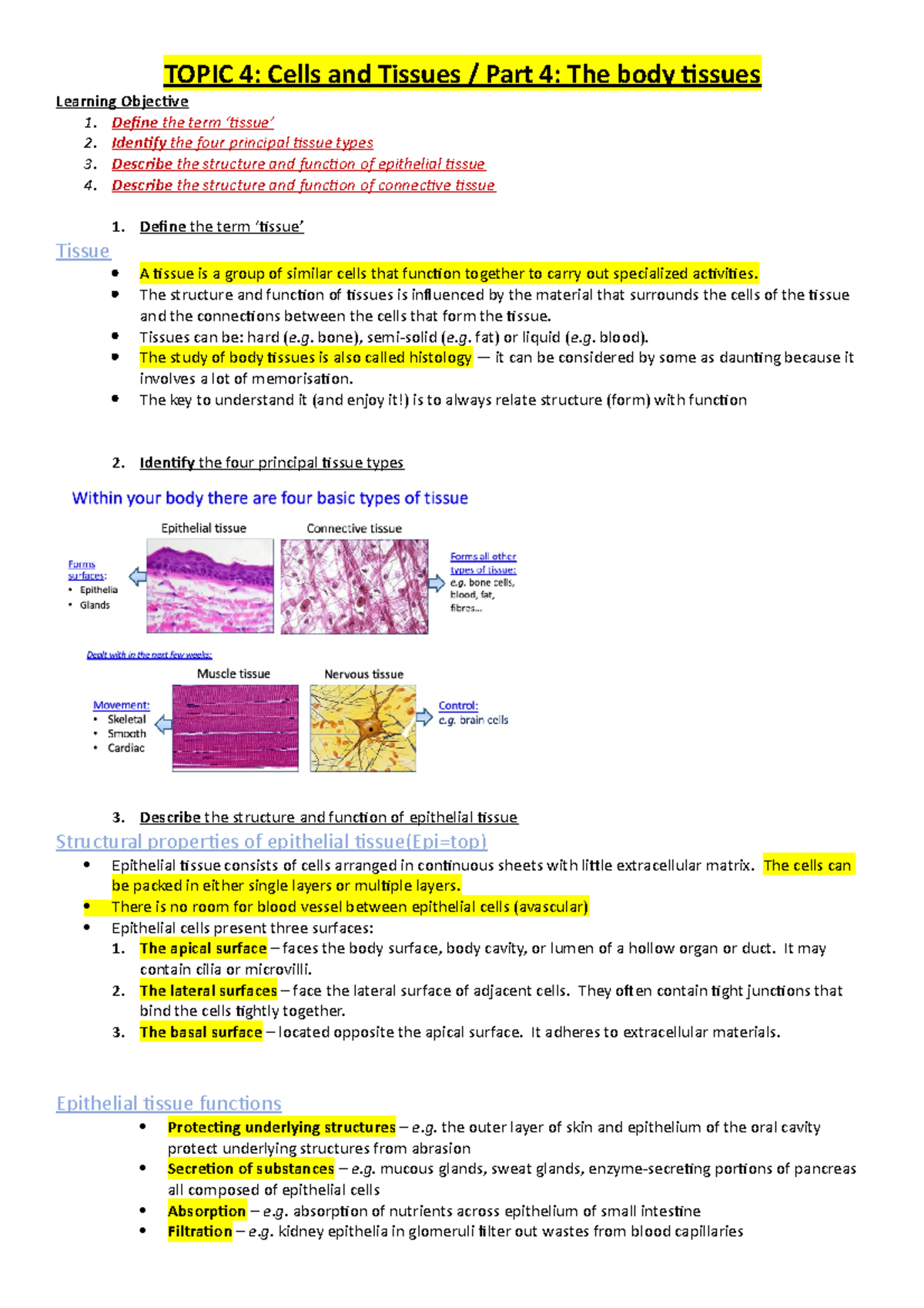 Topic 4 - Cells & Tissues - Part 4 - TOPIC 4: Cells and Tissues / Part ...