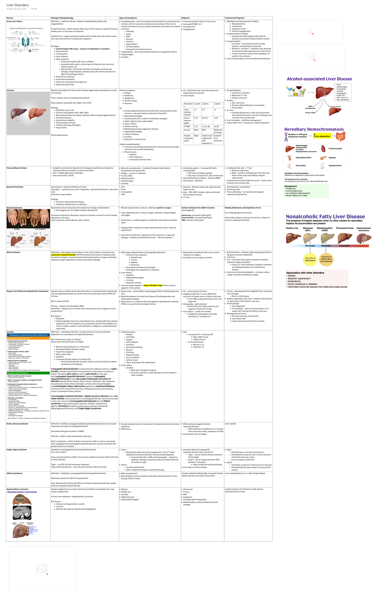 Liver Disorders - Disease Etiology/ Pathophysiology Signs and Symptoms ...