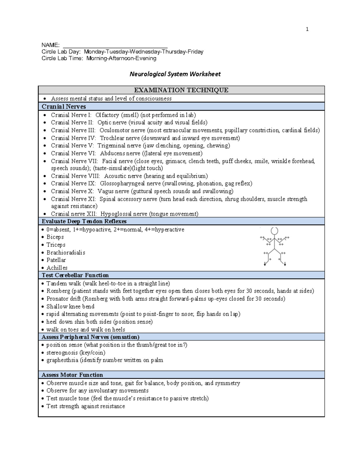 2019 Neurological System Lab Worksheet - 1 NAME ...