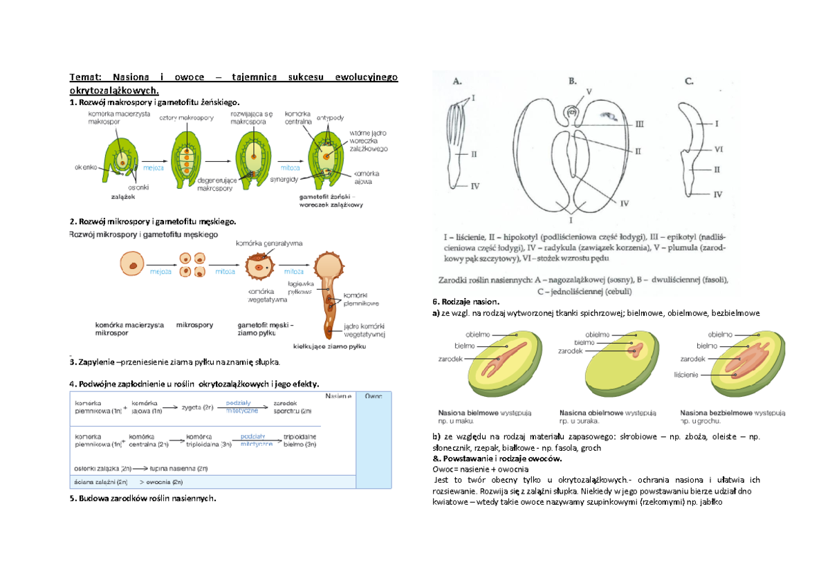 2T biol - notatka z biologii klasa 5 - Temat: Nasiona i owoce – tajemnica sukcesu ewolucyjnego ...