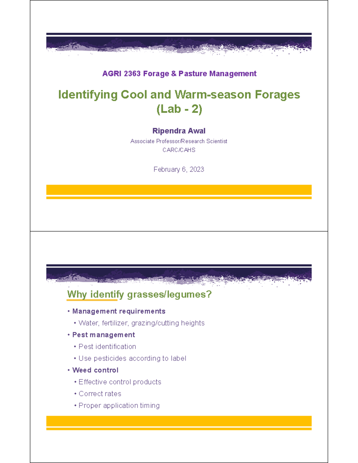 Week 4 - Identifying Cool and Warm-season Forages (Lab 2 presentation ...
