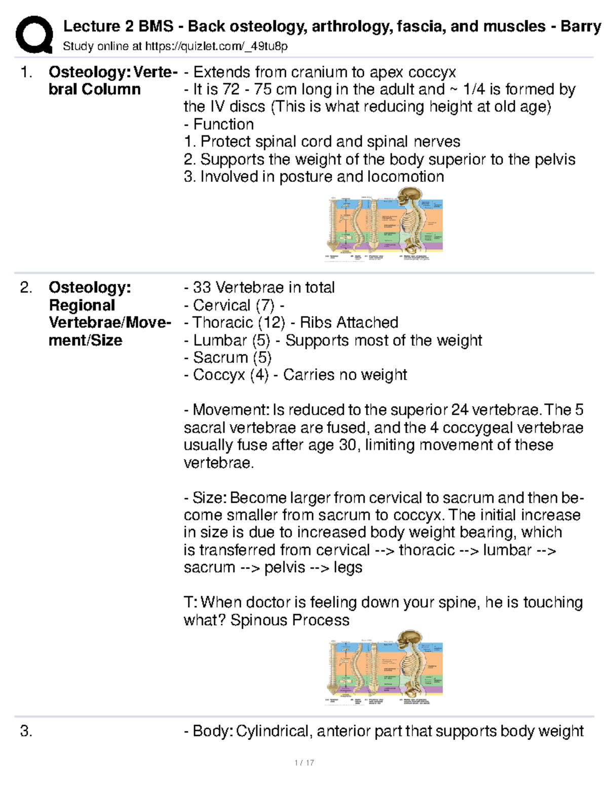 (Lect.2) Back osteology, anthrology, fascia, and muscle - Study online ...