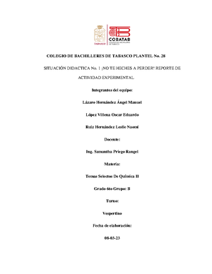 Niveles DE Organización Y SUS Propiedades Emergentes - NIVELES DE ...