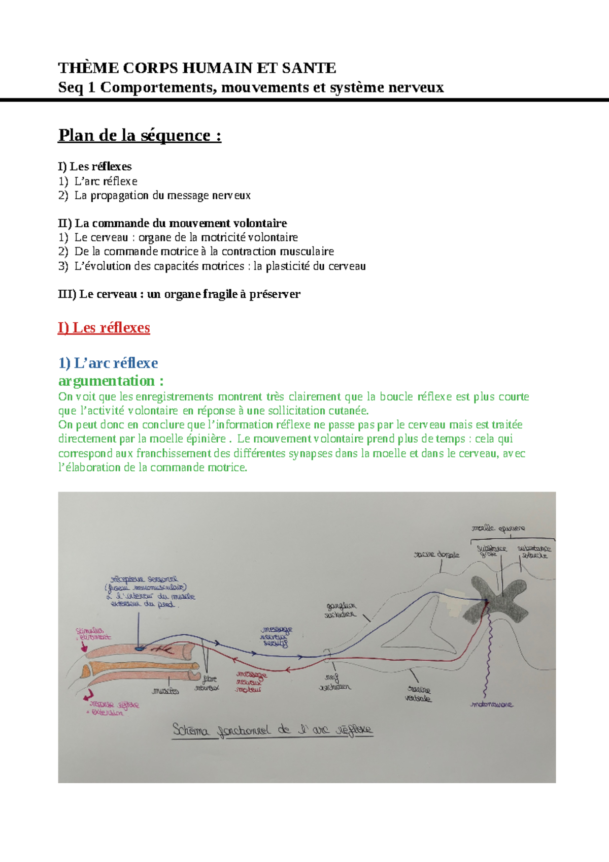 Cours Cerveau et système nerveux - THÈME CORPS HUMAIN ET SANTE Seq 1 ...