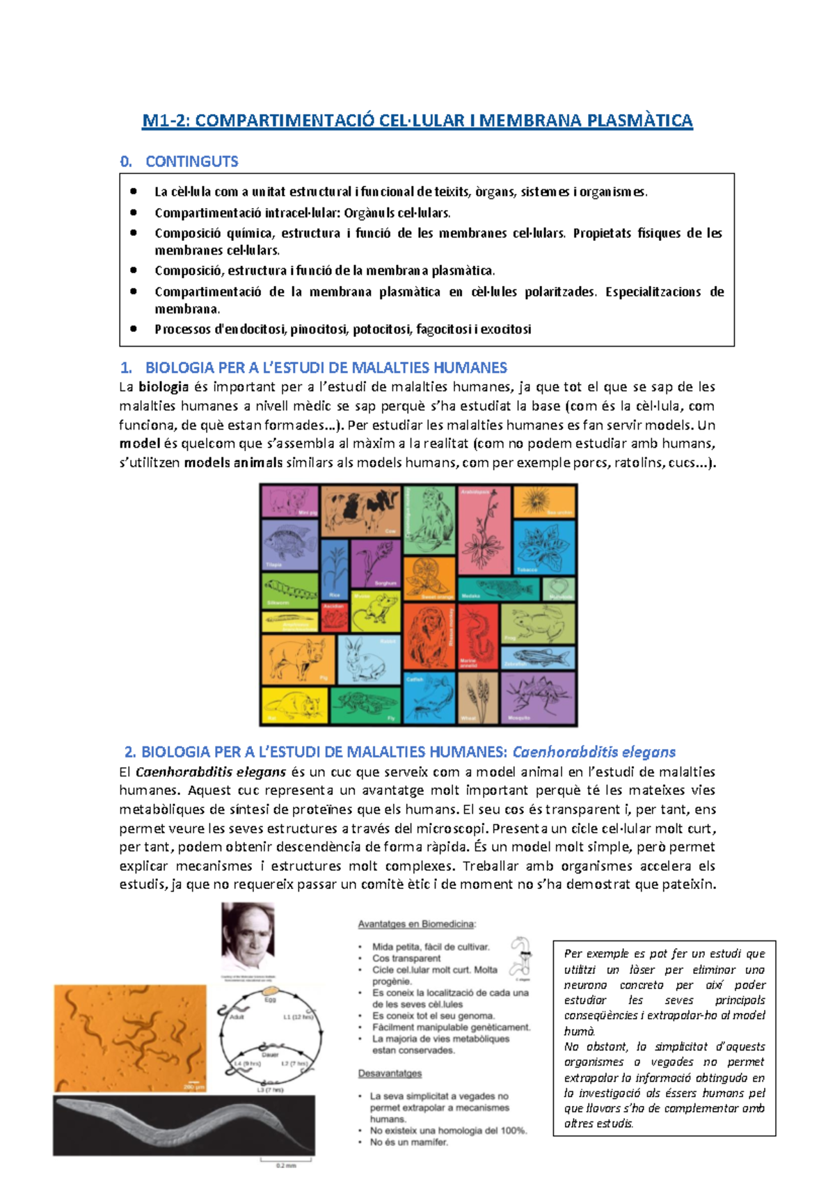 M1-2 - Warning: TT: undefined function: 32 Warning: TT: undefined function: 32 1 M1-2: - Studocu