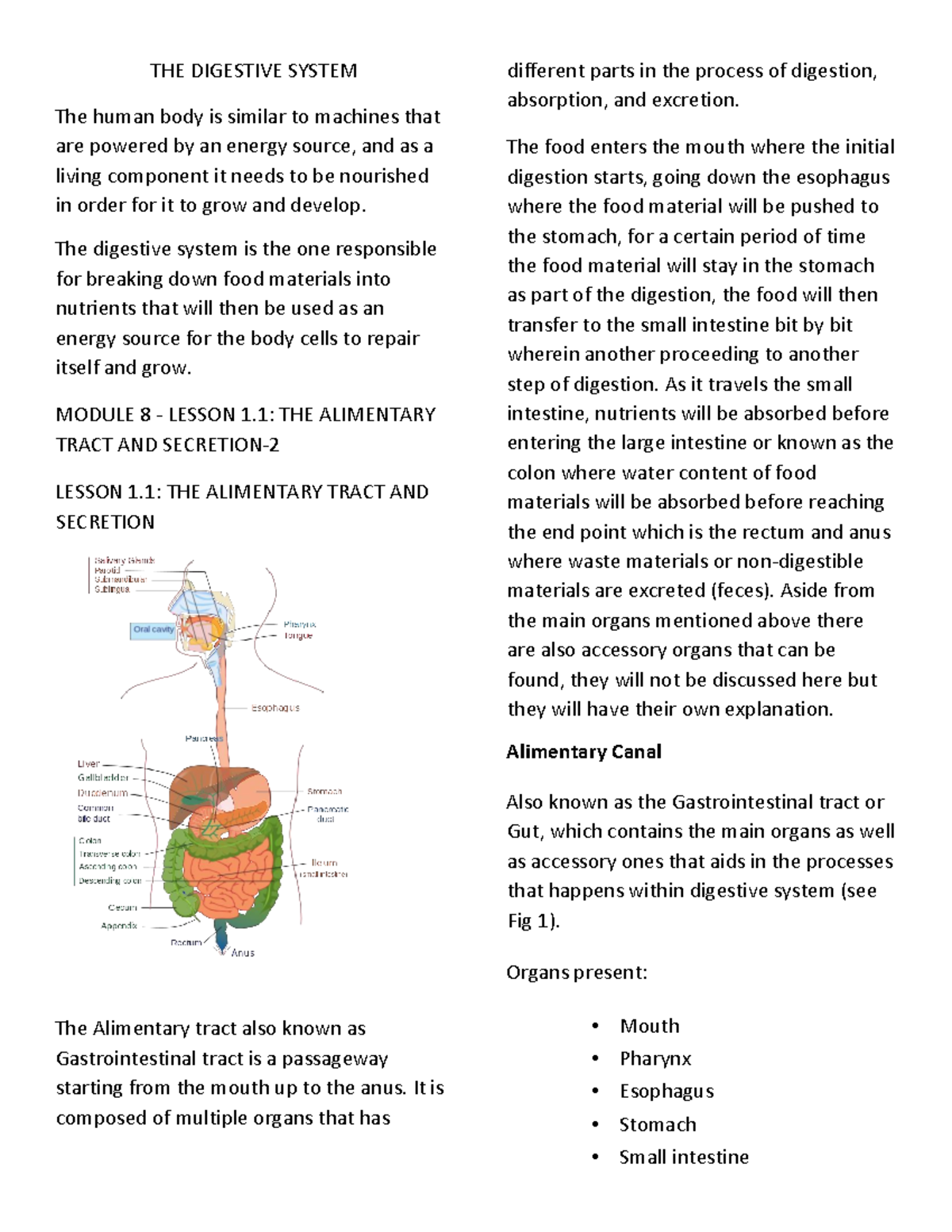 Anaphysio Notes 7 - THE DIGESTIVE SYSTEM The human body is similar to ...