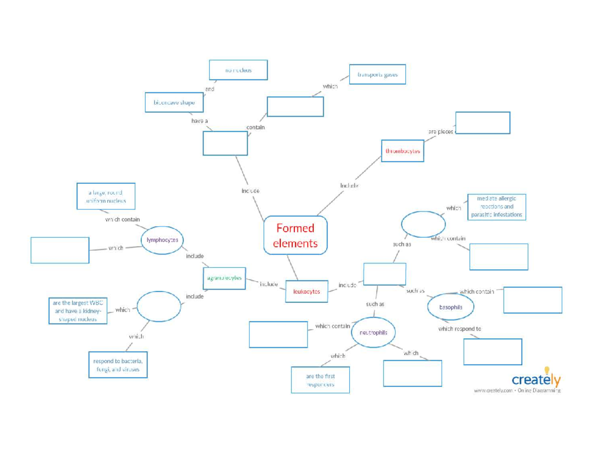 Blood Concept Map - no nucleus transports gases and which biconcave ...