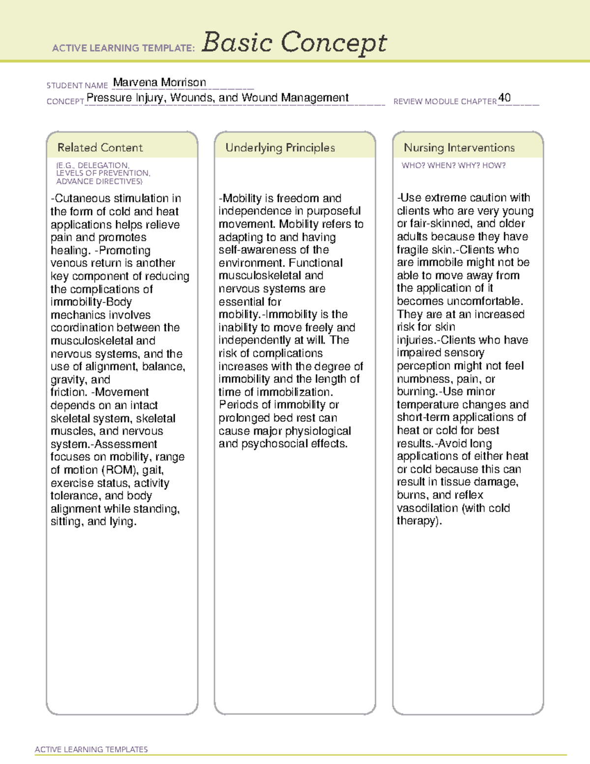 Pressurewound - learning templete - ACTIVE LEARNING TEMPLATES Basic ...